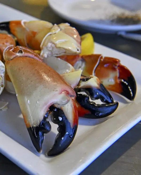 Large Stone Crabs – Fresh Florida Stone Crab Claws – Order Online